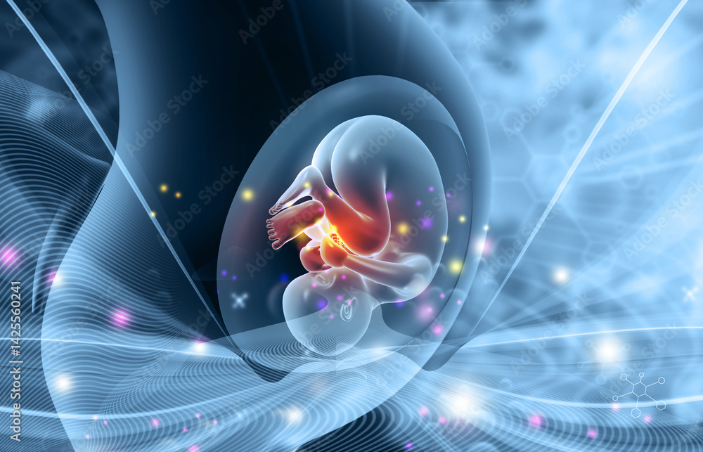 Pregnant women with fetus in digital medical background. 3d ...