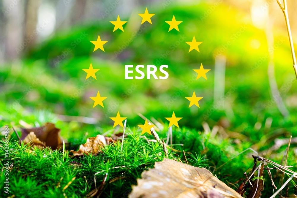 Esrs European Sustainability Reporting Standards Introduced By The