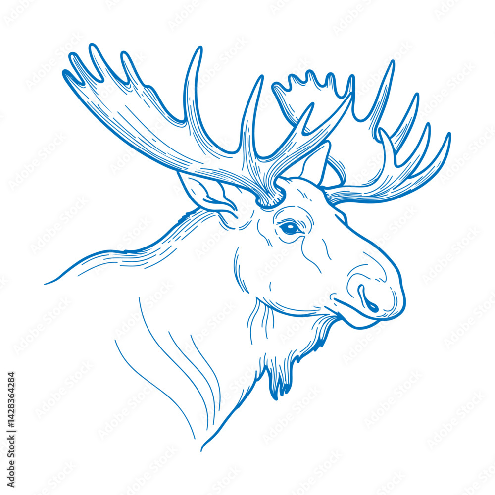 Hand drawn minimal moose head illustration in clean vector line style ...
