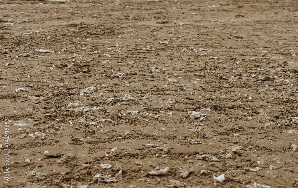 Polluted Soil Surface with Litter and Waste Showing Environmental ...