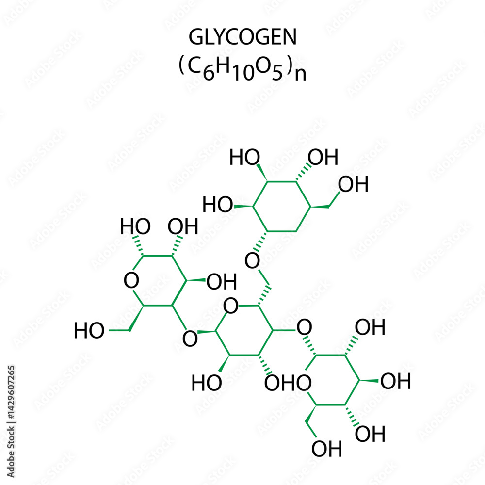 Glycogen molecule icon. Chemical C6H10O5 formula. Vector structural ...
