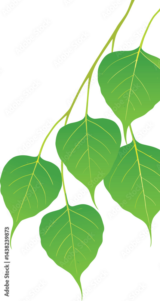 Bodhi Tree Branch and Bo Leaves , Sacred fig leaves Vector for Vesak ...