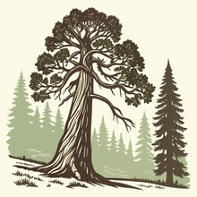 Giant Sequoia Tree Trunk Free Stock Photo - Public Domain Pictures