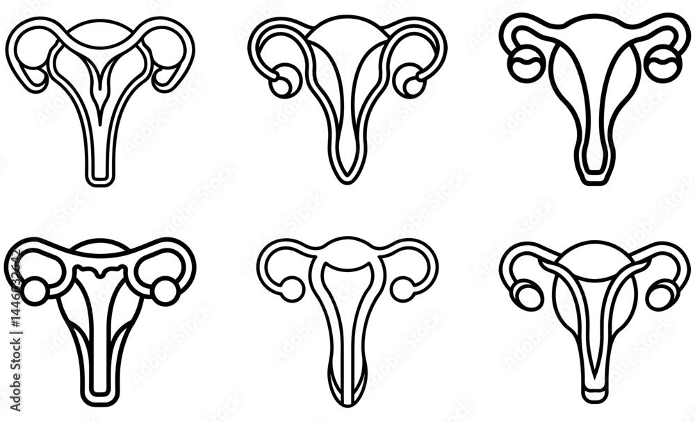 Different Female Reproductive System Diagrams Stock Vector | Adobe Stock