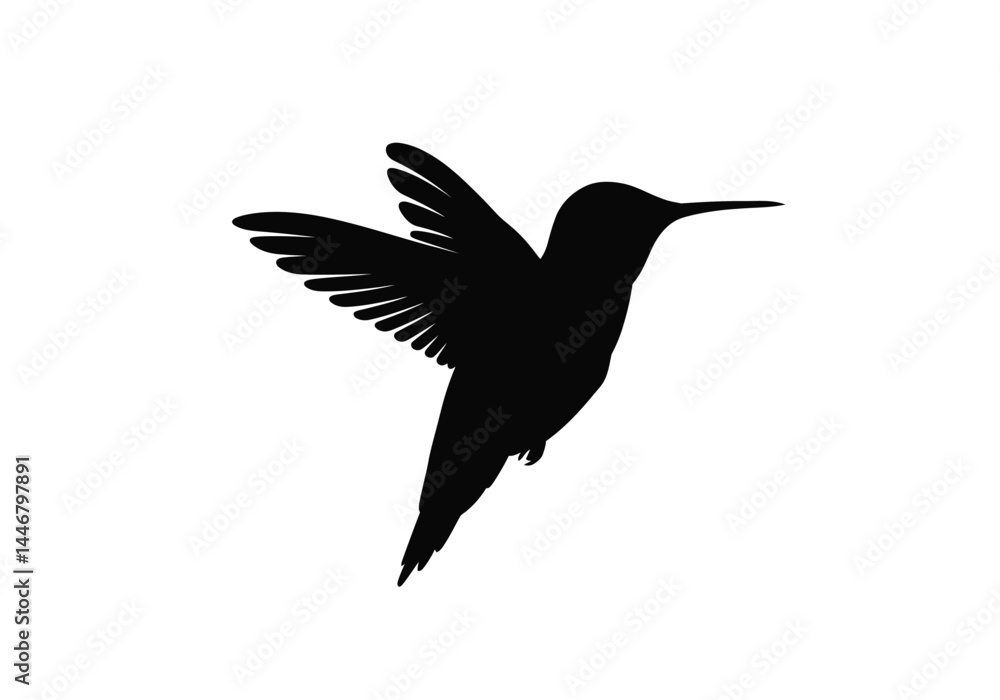 Hummingbird silhouette. This image shows a black outline of a ...