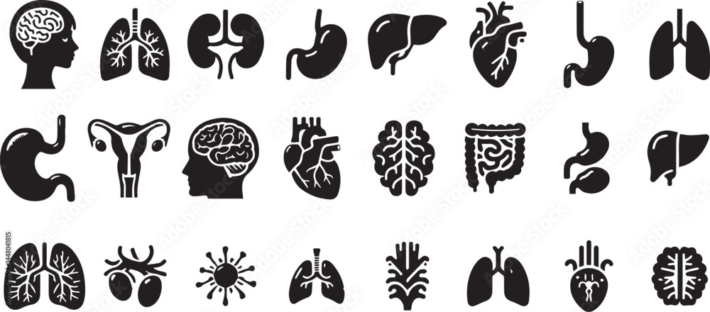 Vector de Stock Human organ, anatomy icon set. Vector glyph pictograms ...