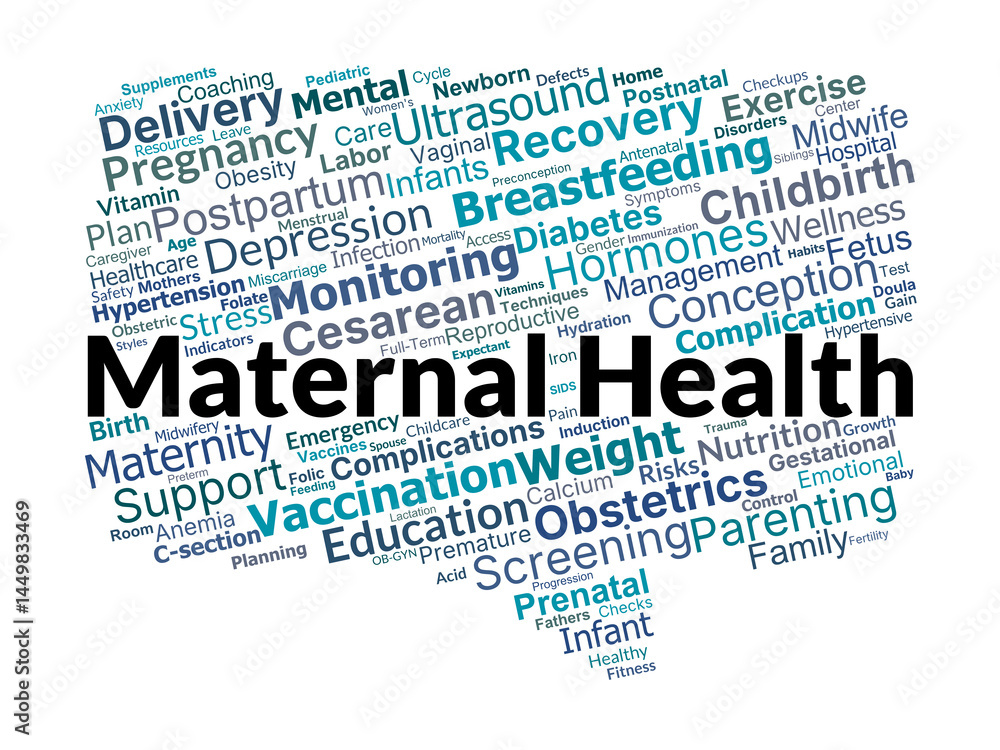 Maternal Health Word Cloud. Key Topics in Pregnancy and Childbirth ...