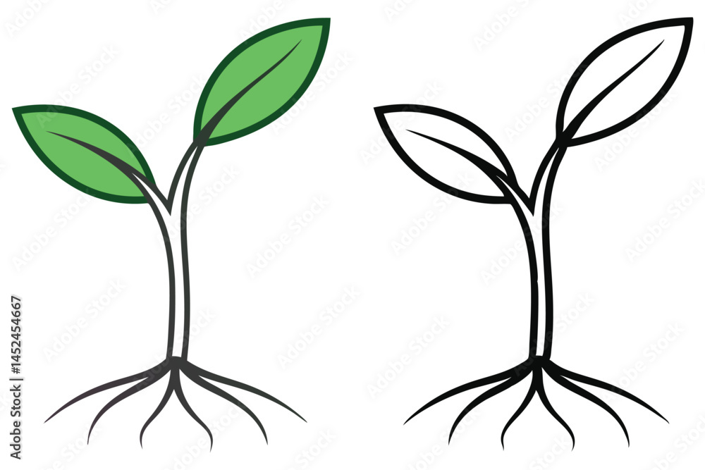 Colored and outlined seedling plant illustration shows different ...