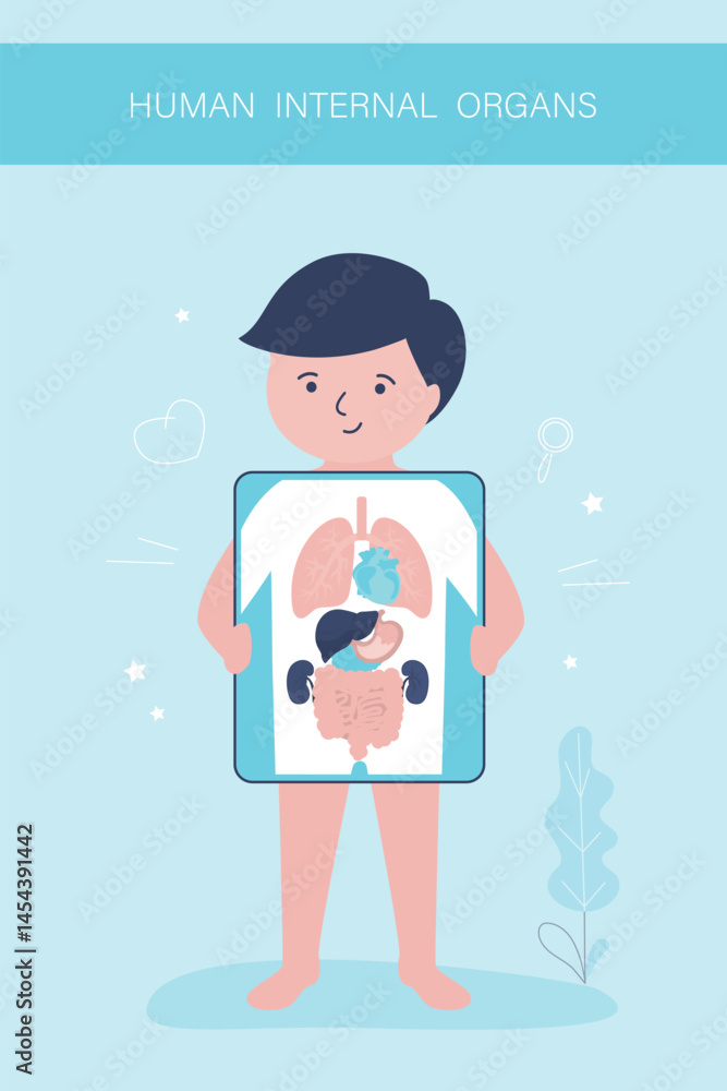 Little boy holds placard marked internal organs. Human body anatomy ...