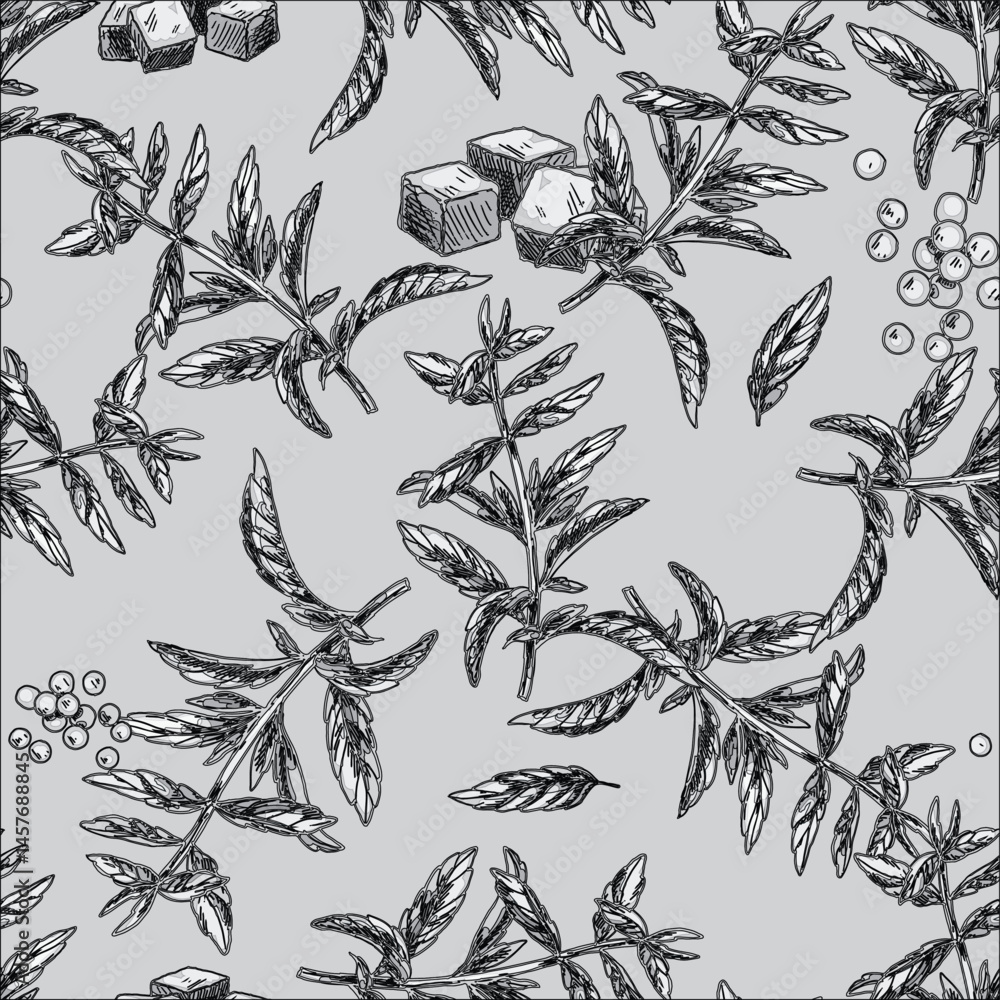ilustrasi sketsa baground pattern tanaman rempah untuk bumbu masakan ...