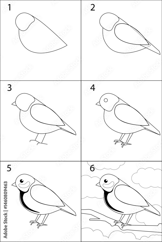 Image vectorielle Stock step-by-step instructions on how to draw a tit ...