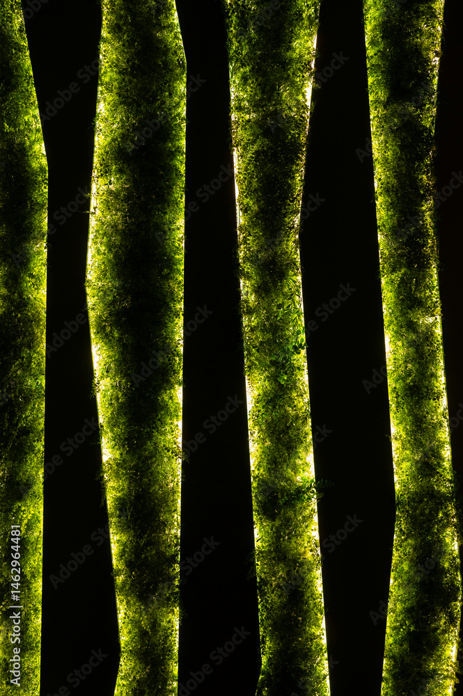 Foto de Stock abstract organic green line texture | Adobe Stock