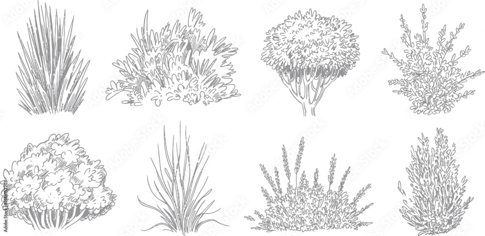 Set of hand drawn landscape plant outlines for design Stock Vector ...
