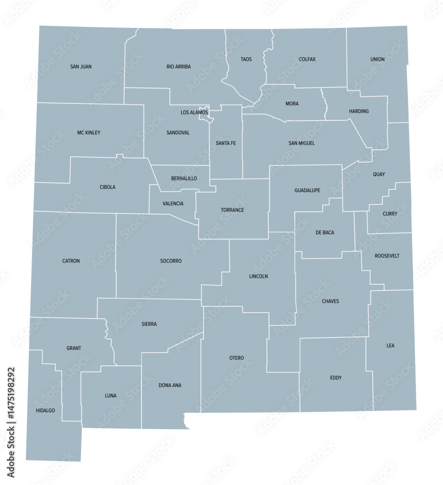 New Mexico counties, gray political map with borders and county names ...