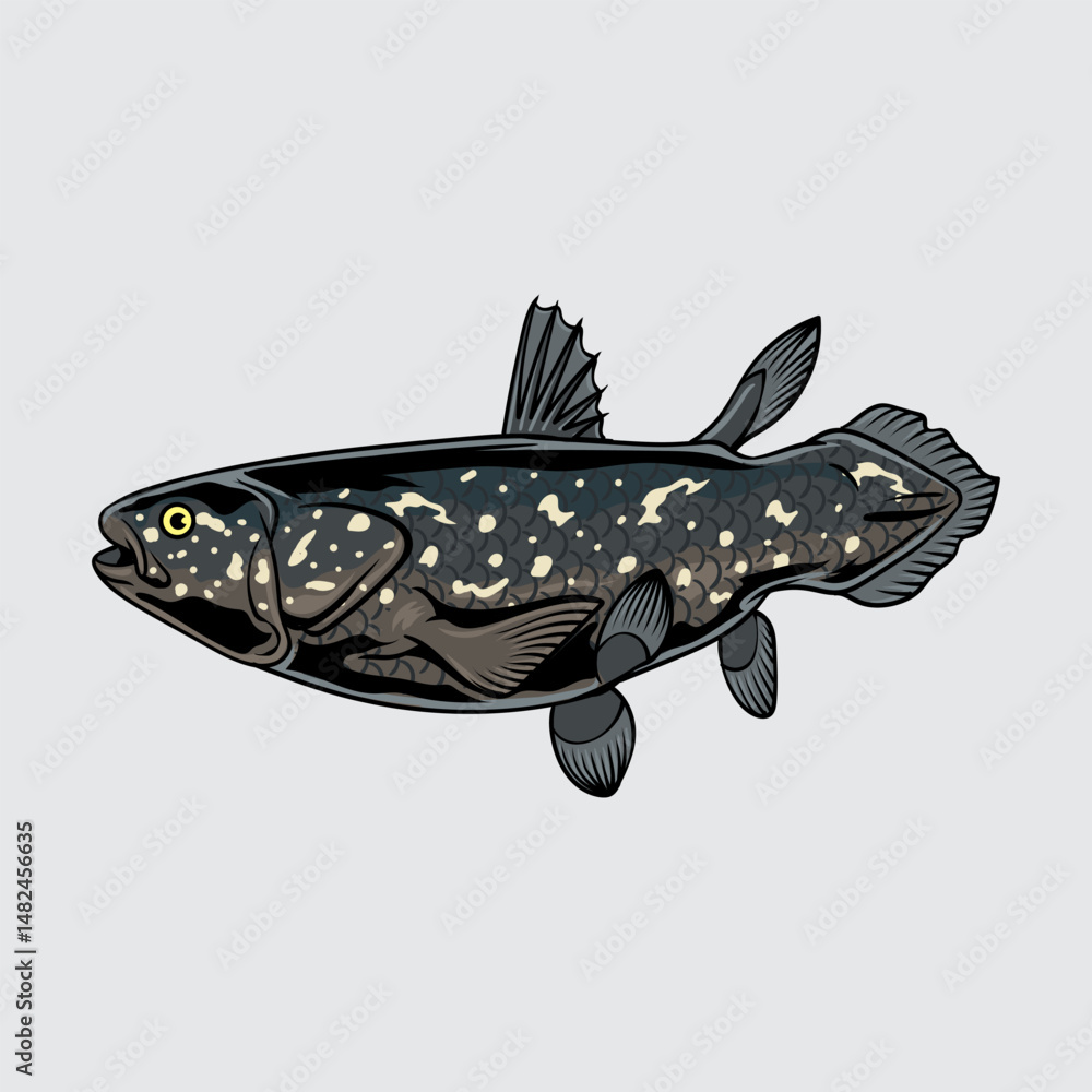 Coelacanth fish simple isolated cartoon illustration with light ...
