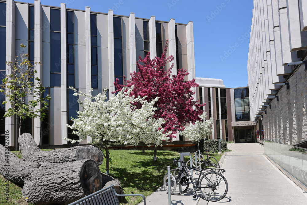 University of Toronto Law School Building Stock Photo | Adobe Stock