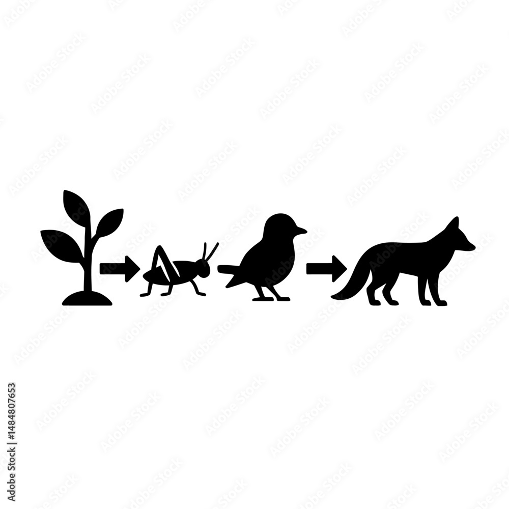 Understanding food chain diagram plant grasshopper bird fox ecosystem ...