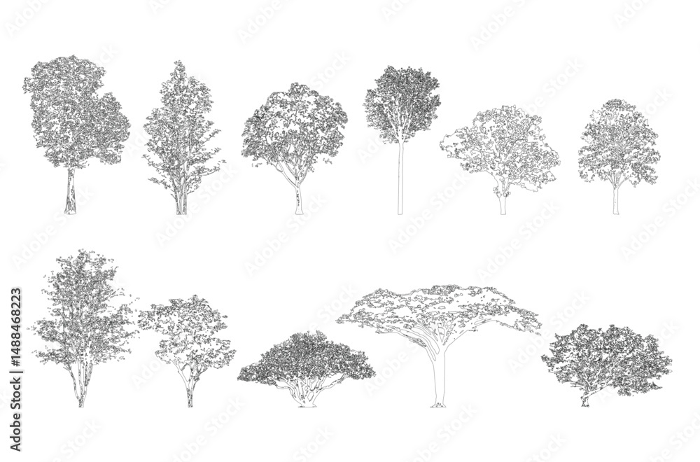 เวกเตอร์ Stock Minimal style cad tree line drawing, Side view, set of graphics trees elements ...