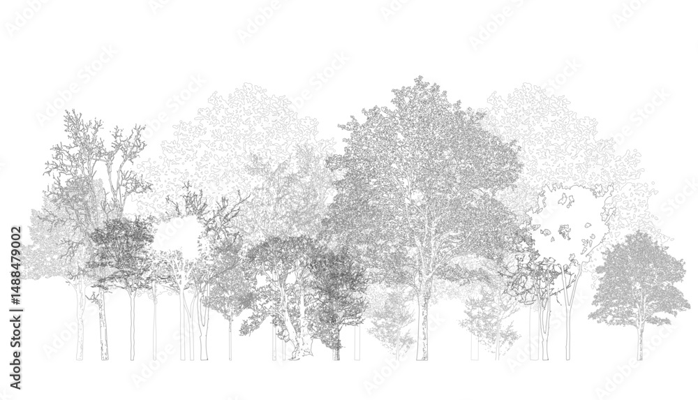 Architectural Drawings, Minimal style cad tree line drawing, Side view, set of section wetland ...