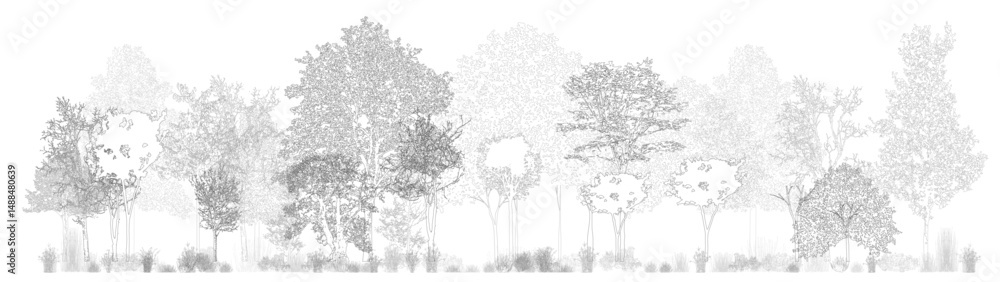 Architectural Drawings, Minimal style cad tree line drawing, Side view ...