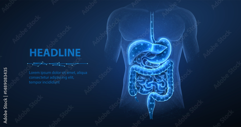 Abstract wireframe intestinal human digestive system. Gut health, bowel ...