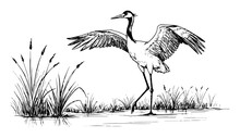 Water Crane Images - Public Domain Pictures - Page 1