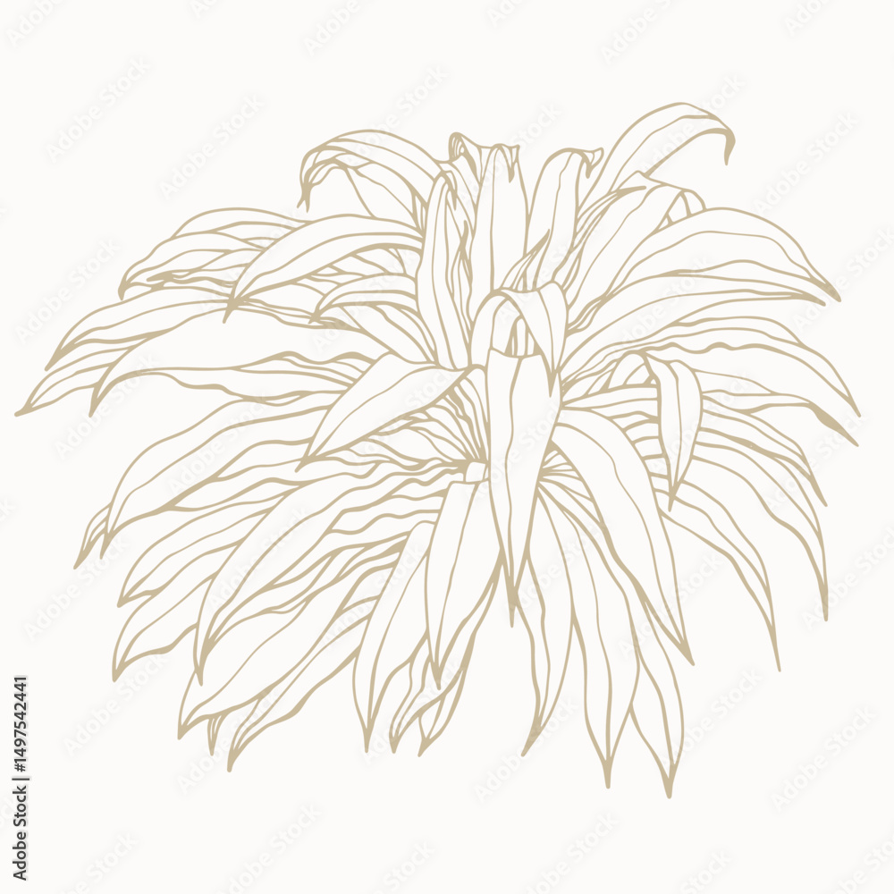 Tropical yucca plant clipart. Hand drawn isolated element for design ...