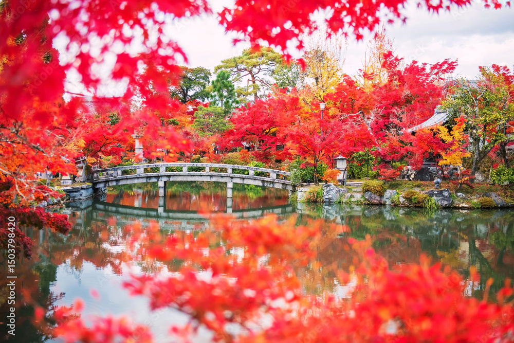 Colorful maple tree tunnel by stone bridge across Hojo pond with ...