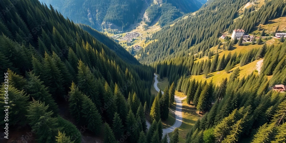 Elevated view of winding forest path, Grindelwald, Swiss Alps, pathway ...