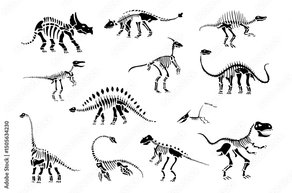 Skeletons of Jurassic dinosaurs, different types of dino bones. Vector ...