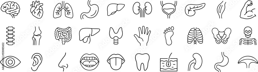 Medical organs line icon set. Vector pictograms of anatomy, body parts ...