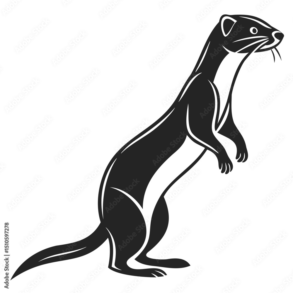 Illustration of a standing stoat with black fur and white markings on a ...