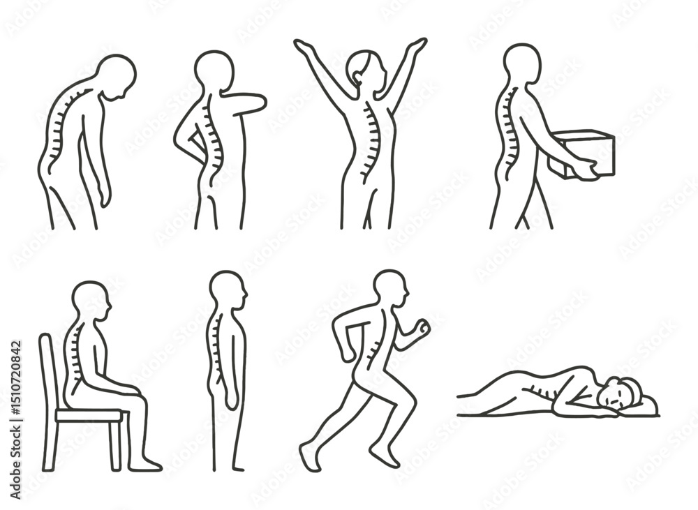 Dynamic spine silhouette icon set. posture and movement health symbols ...