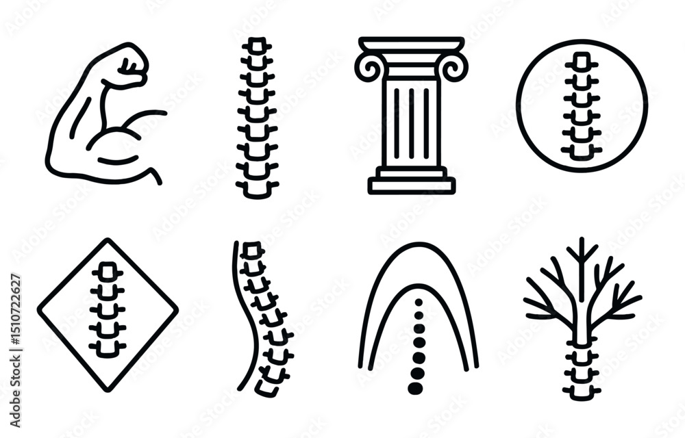 Spine health linear icon set. backbone, vertebra, and posture symbols ...