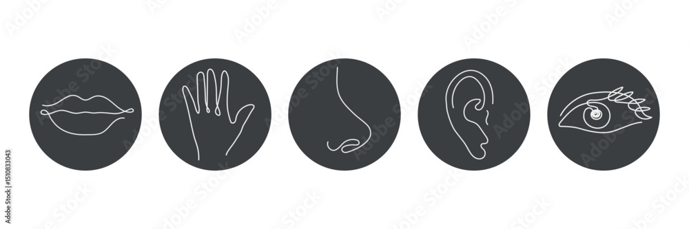 Vector de Stock Five human senses one line drawing in circle. Touch ...
