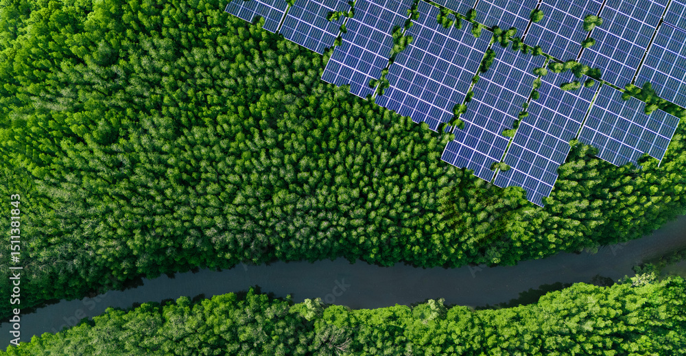 Solar farm panels installed in the green forest, water and solar power ...