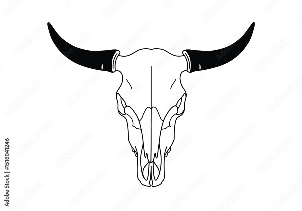 Vector de Stock Cow skulls drawing. It is a black and white outline ...