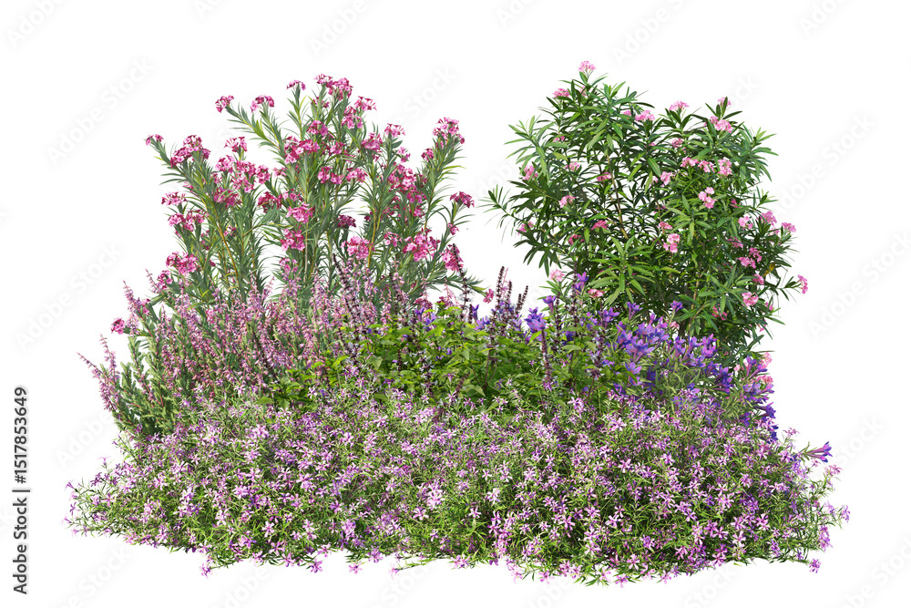 Small bush with different plants, colorful field wildflowers cut out ...