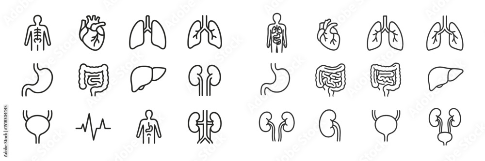Illustrations of human organs and systems showcasing anatomy in a ...