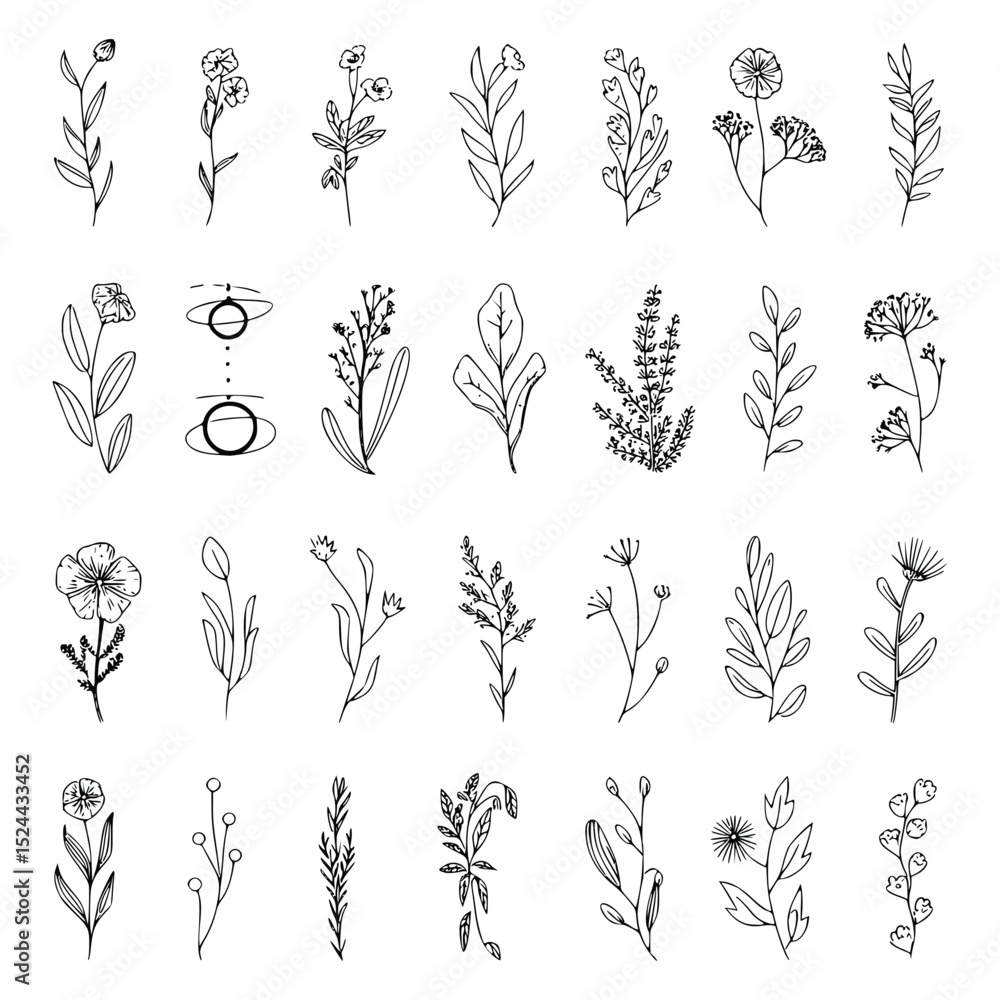 Hand Drawn Wildflower Botanical Line Art Vector Illustration – Minimal ...