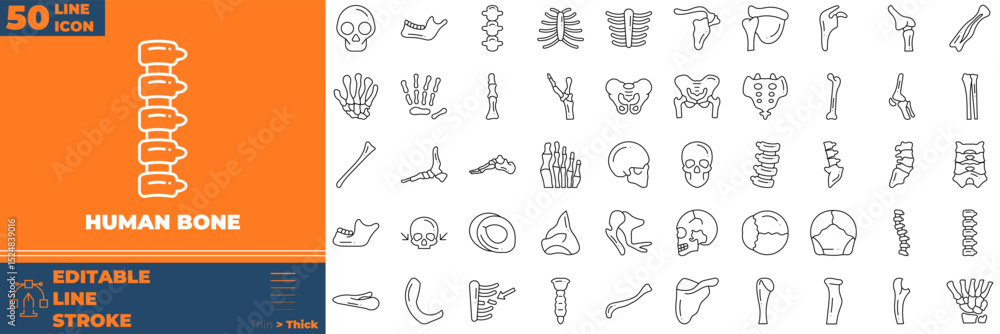 Human Bone Line Editable Icons set. Vector illustration in modern thin ...