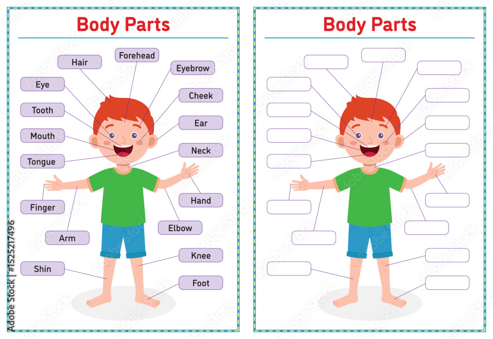 Cartoon illustration Human Body Parts Diagram activities Worksheet for ...