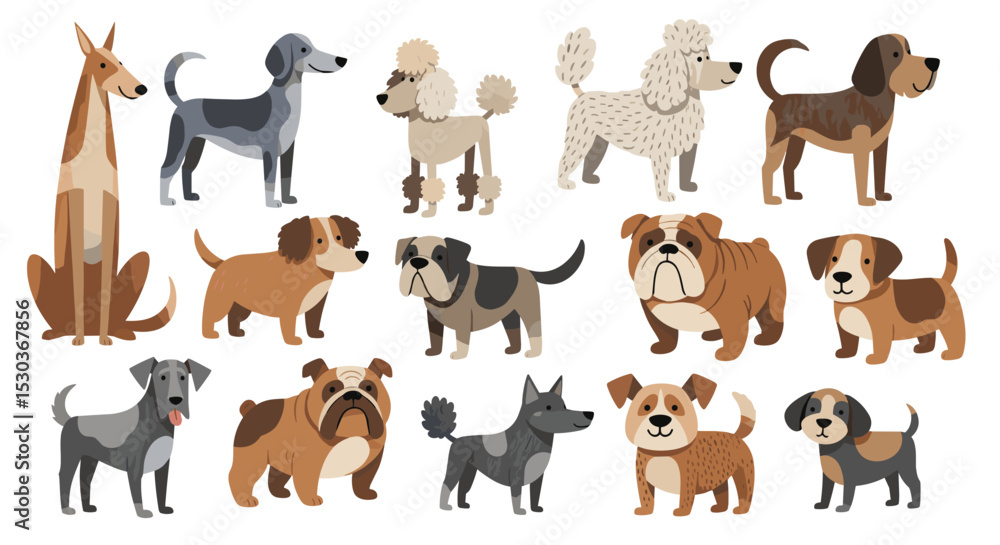 Diverse Dog Breeds An Overview of Popular and Lesser Known Canine ...