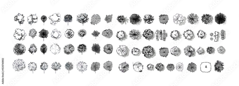 Vector illustration set of tree top view line art, diverse ...
