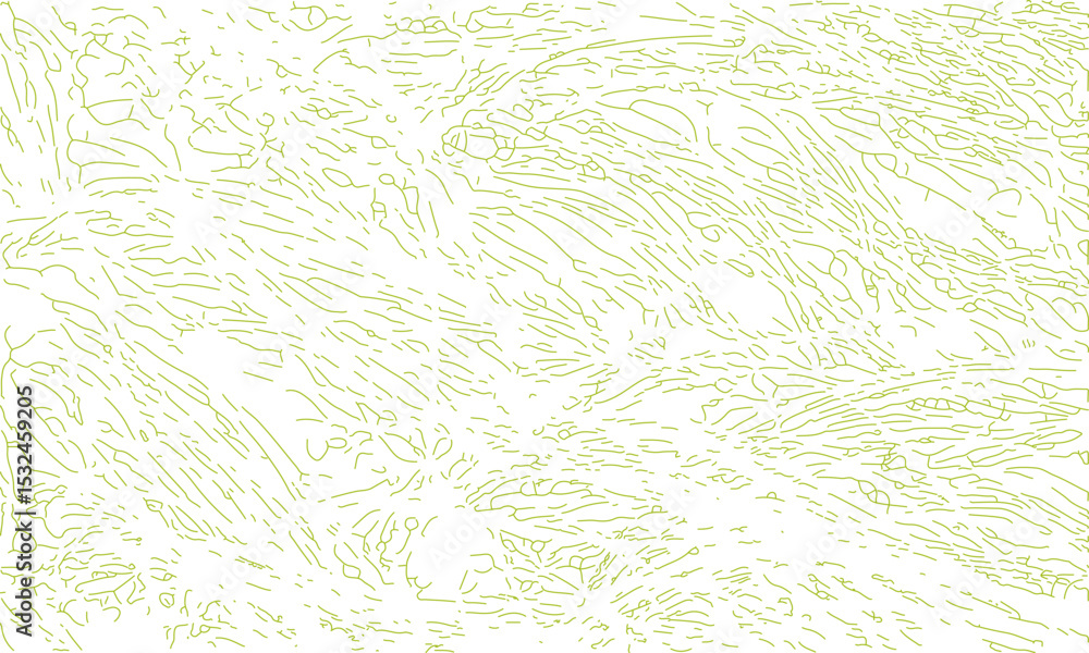 Vettoriale stock di Line art pattern texture vector illustration green ...