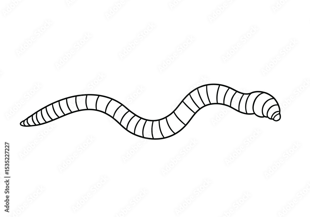 Earth worm drawing. It is a black and white outline image of an ...
