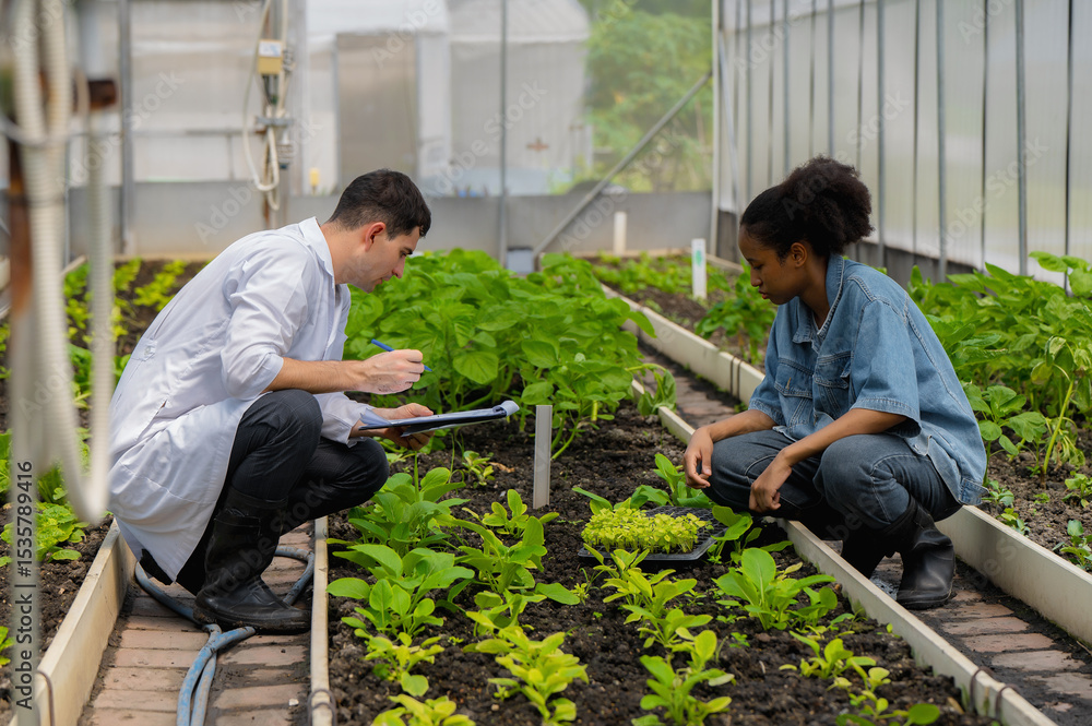 Teacher guiding student through crop evaluation and vegetable ...