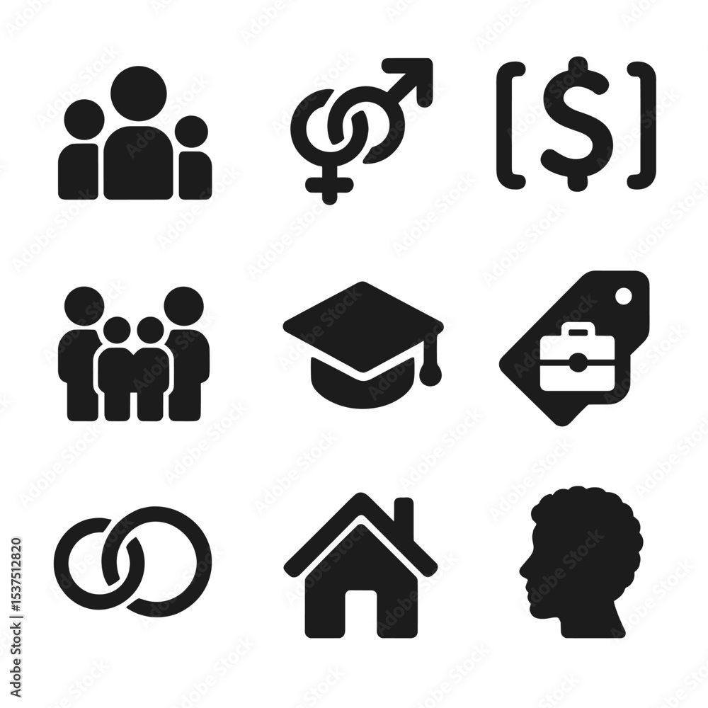 Demographic Segmentation Icons. Solid style icons of demographic ...