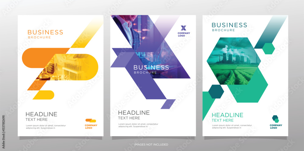 Business brochure modern design set template Stock Vector | Adobe Stock