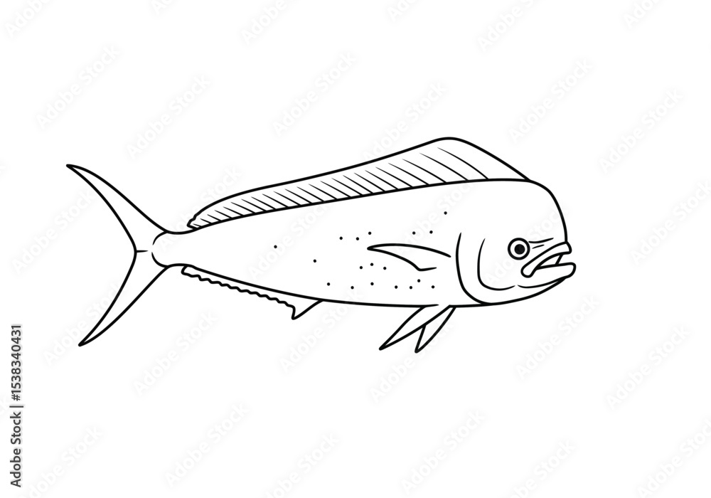 Mahi drawing. It is a black and white outline image of a mahi-mahi or ...